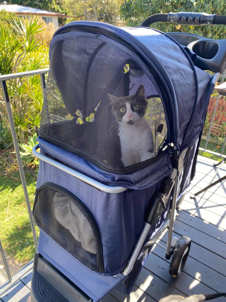 Doogo Pet Stroller - 4Paws Pet Accessories